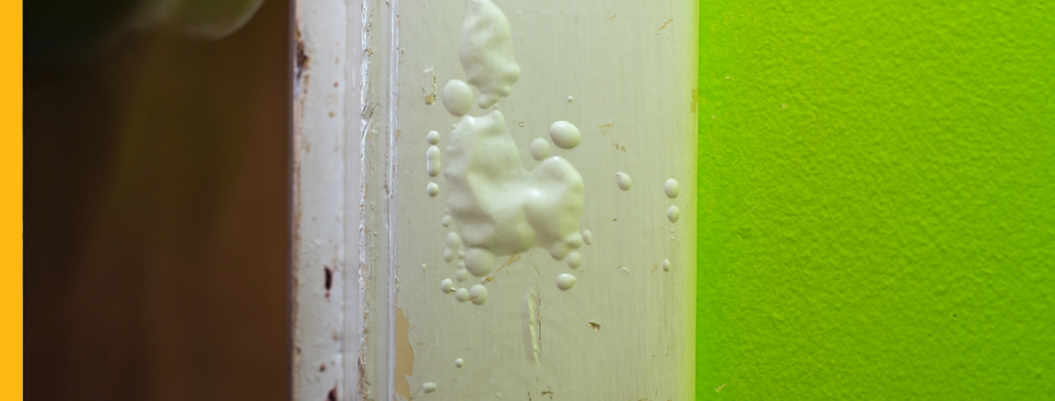 Science of Paint Failure: Why Peeling, Bubbling, and Fading